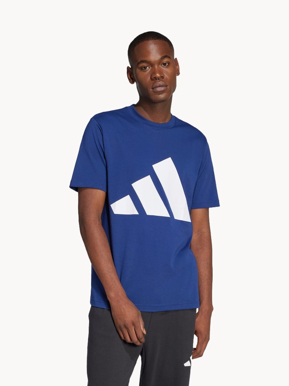 Футболка Essentials Big Logo