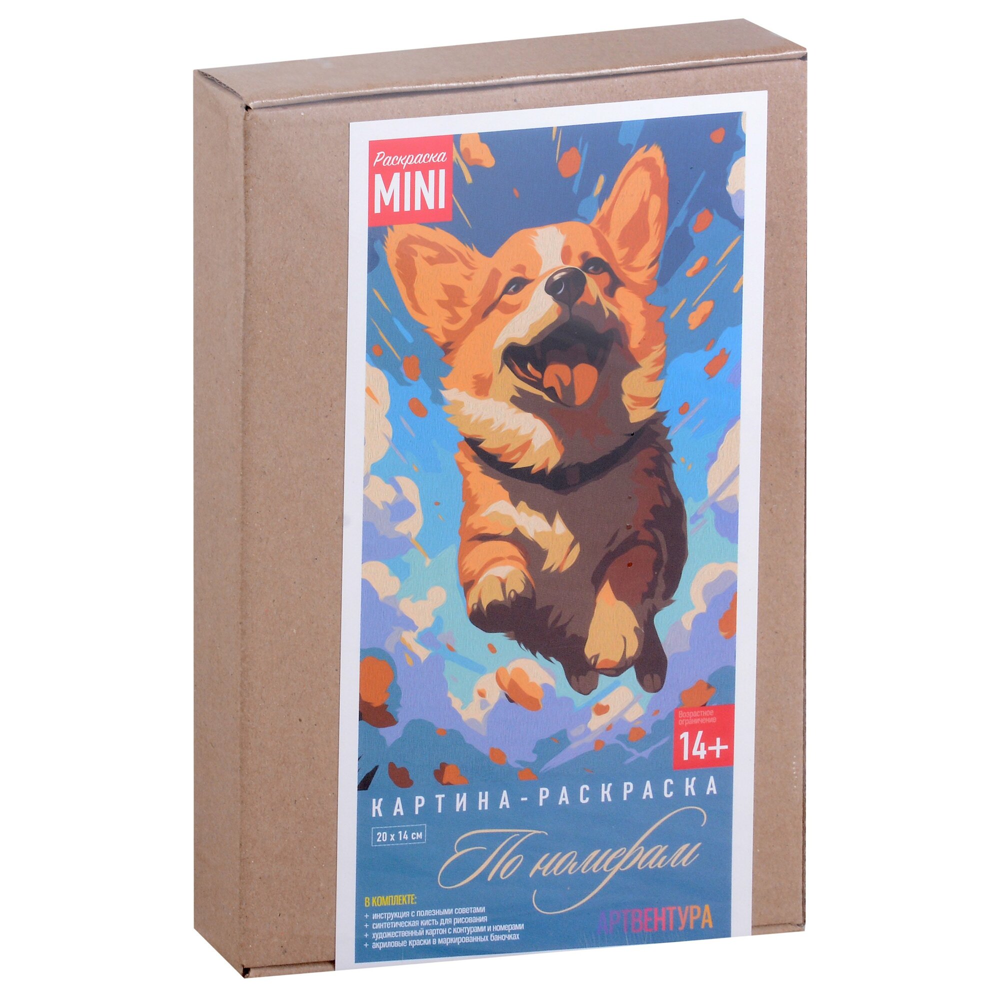 Картина-раскраска по номерам Корги