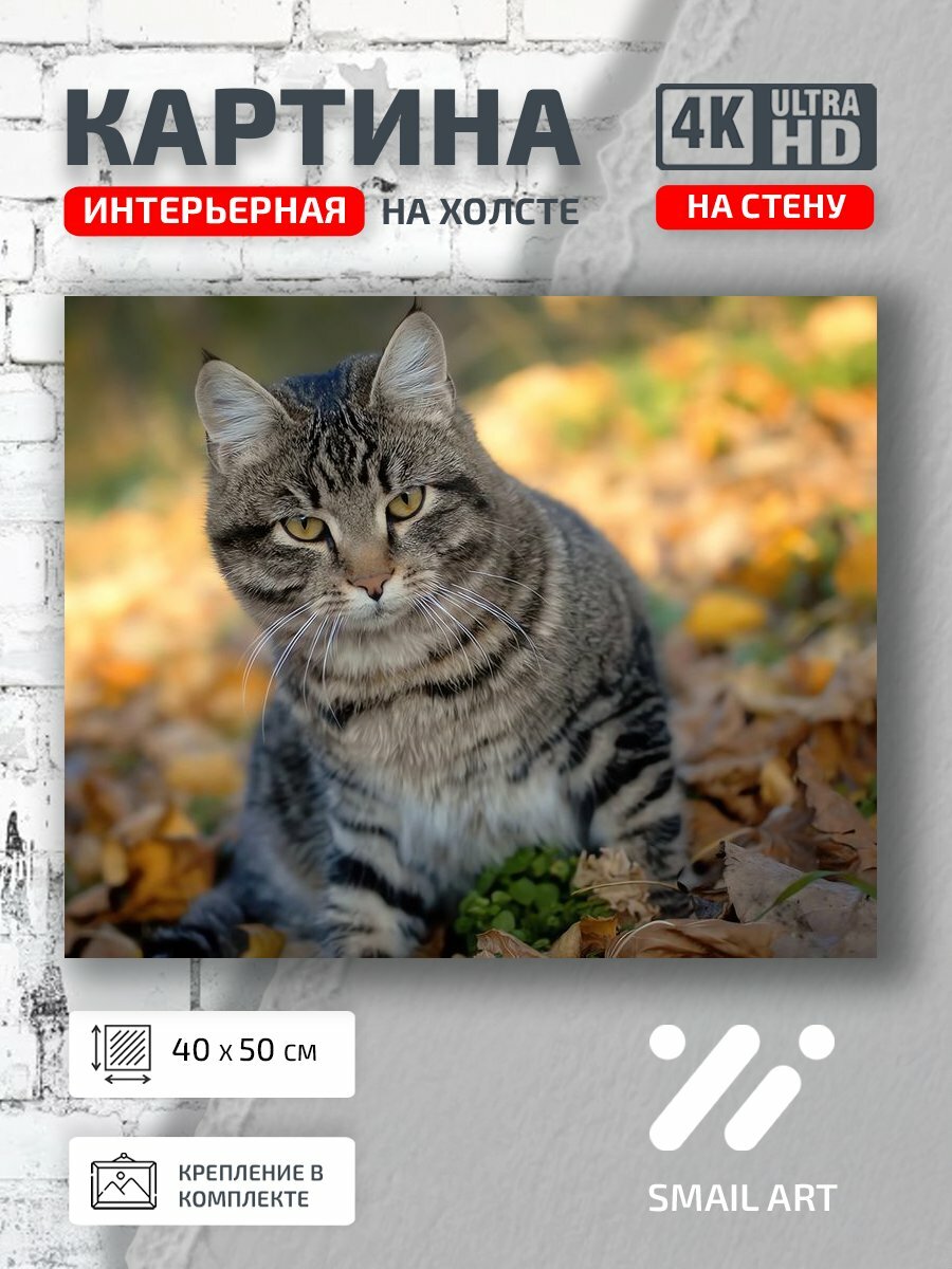 Картина на холсте интерьерная 40 на 50 на стену Серый grey для спальни пейзаж интерьер