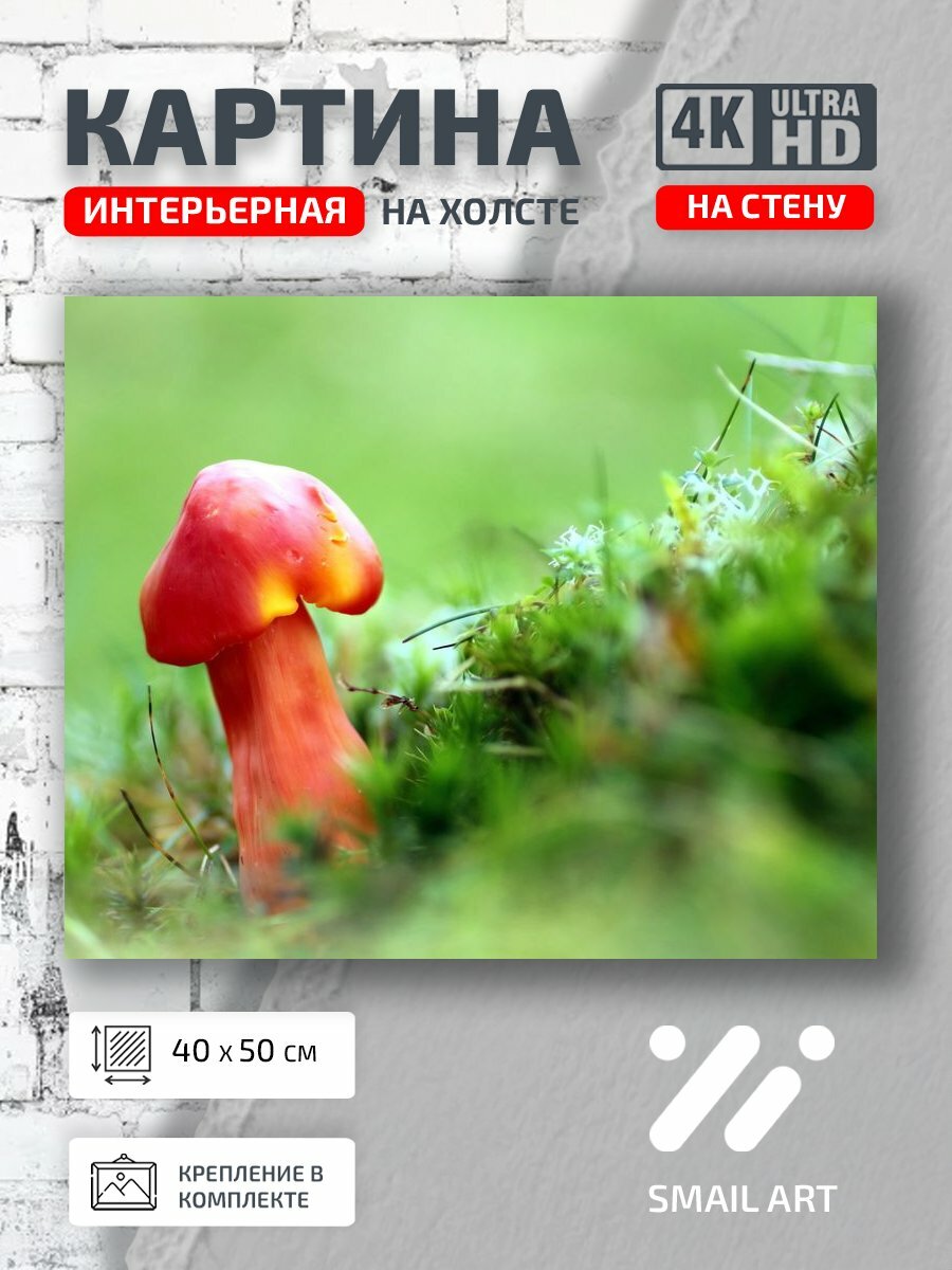 Картина на холсте интерьерная 40 на 50 на стену Трава Landscape для офиса пейзаж интерьер