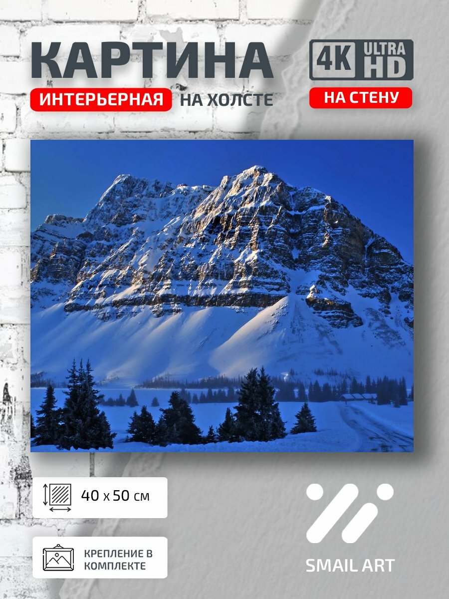 Картина на холсте интерьерная 40 на 50 на стену Снег Landscape для кафе пейзаж интерьер