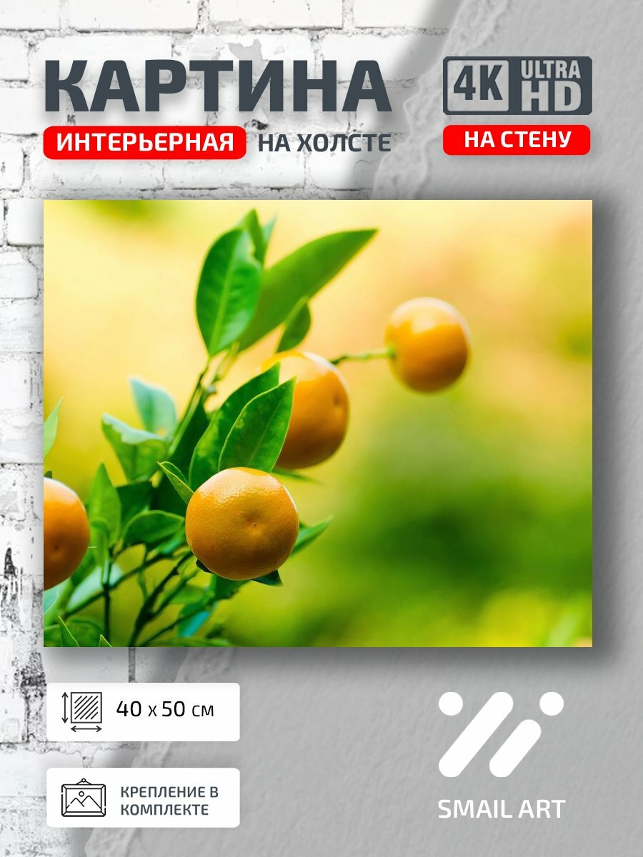 Картина на холсте интерьерная 40 на 50 на стену Мандарины Landscape для кафе пейзаж декор