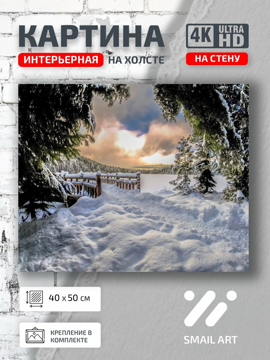 Картина на холсте интерьерная 40 на 50 на стену Мост Landscape для гостиной пейзаж интерьер
