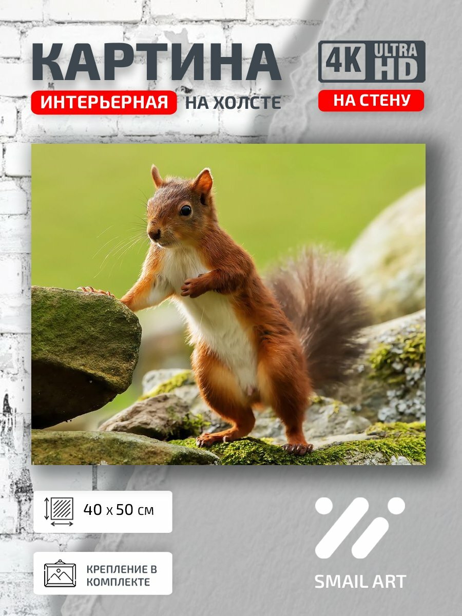 Картина на холсте интерьерная 40 на 50 на стену Трава Mood для спальни атмосфера интерьер
