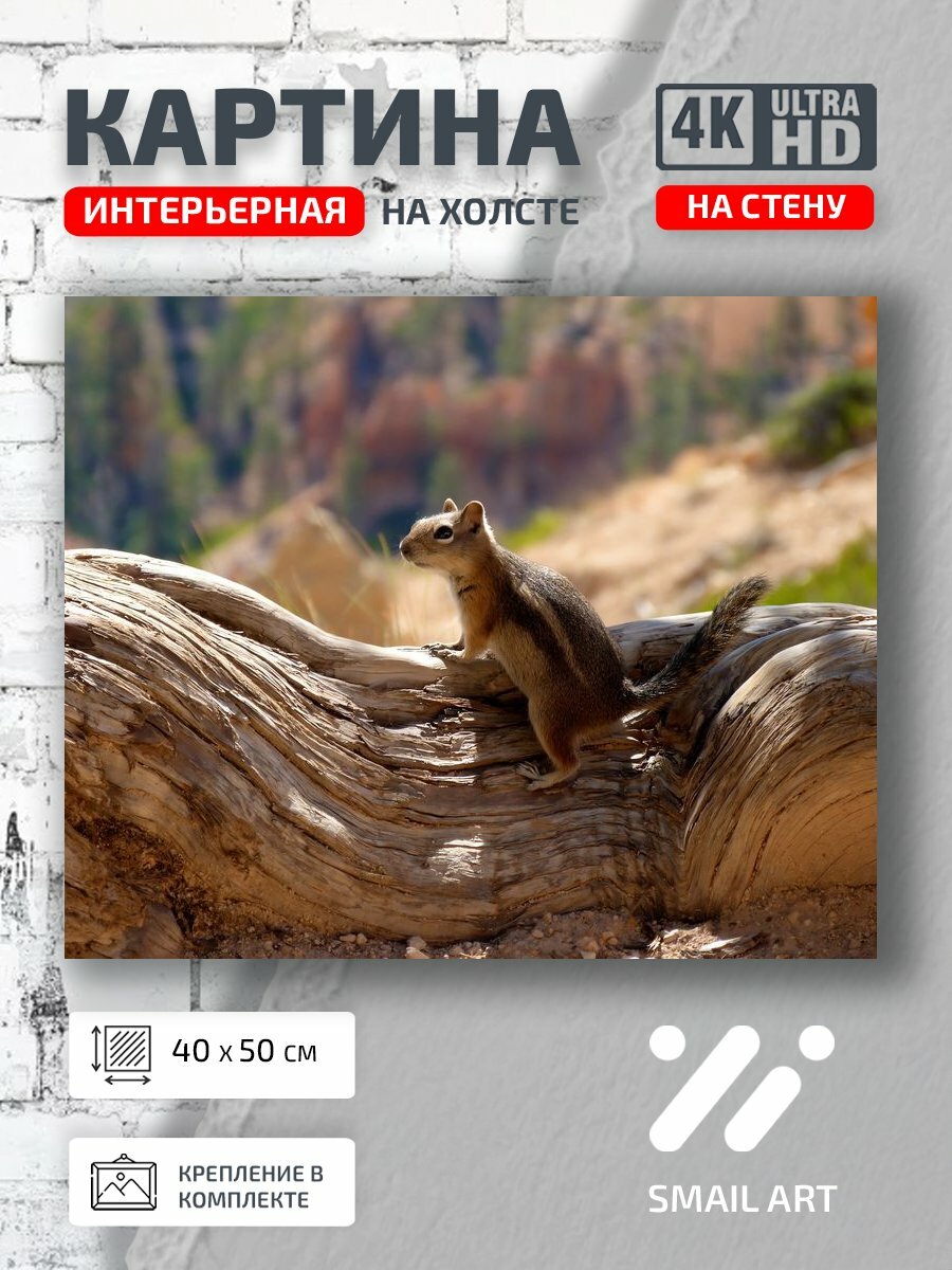 Картина на холсте интерьерная 40 на 50 на стену Дереве Mood для гостиной атмосфера интерьер