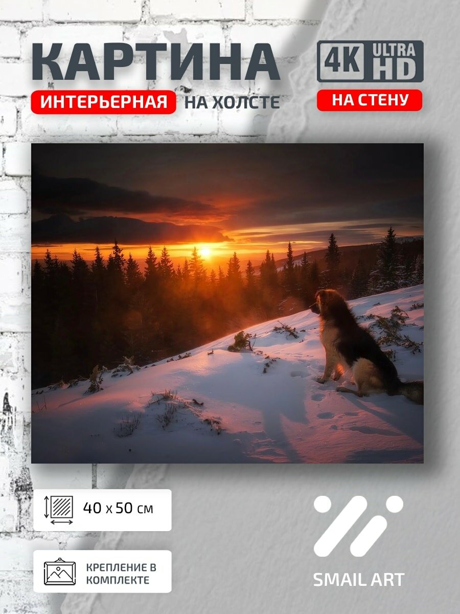 Картина на холсте интерьерная 40 на 50 на стену и закат для офиса атмосфера