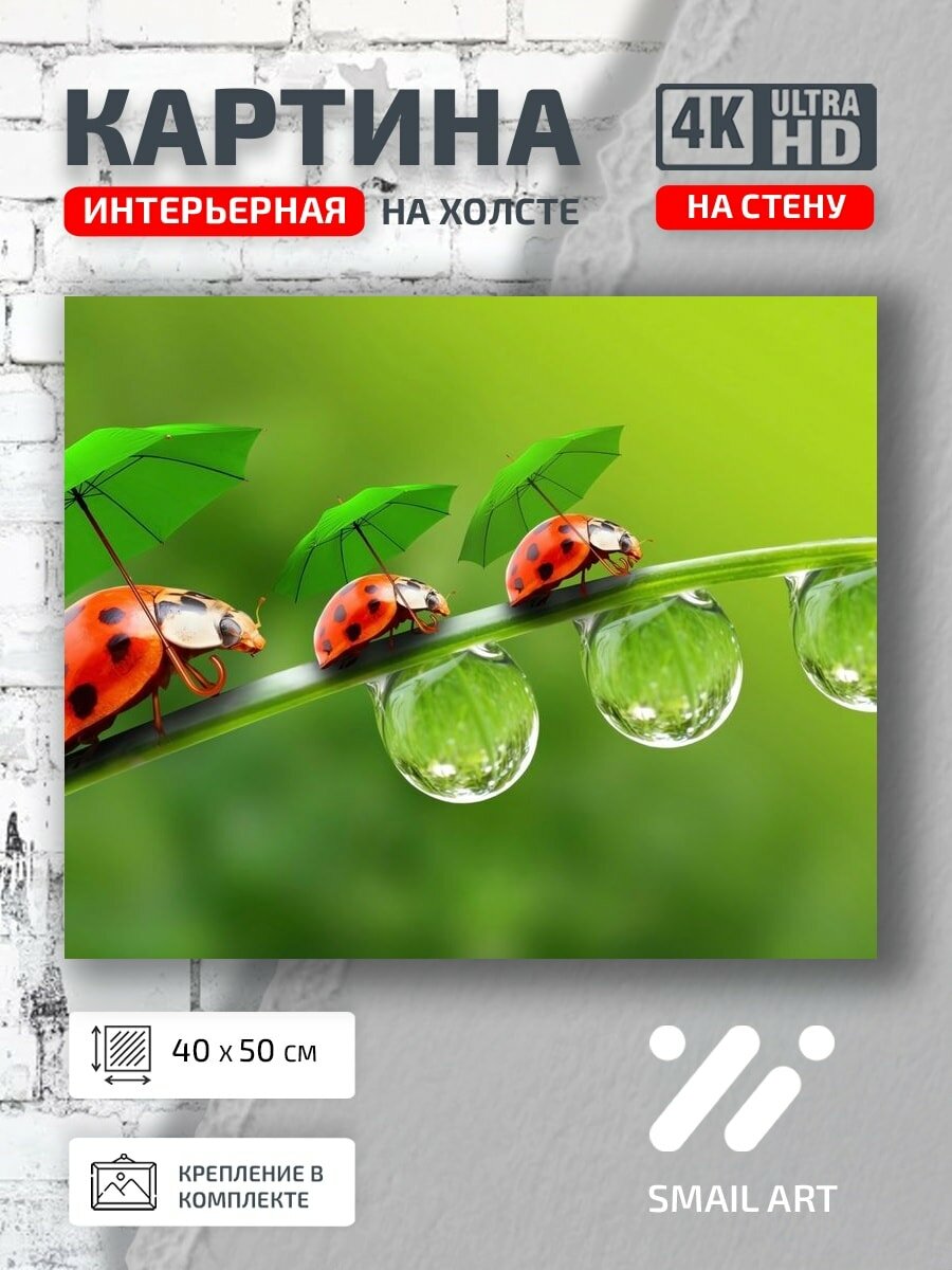 Картина на холсте интерьерная 40 на 50 на стену коровки траве для кабинета атмосфера