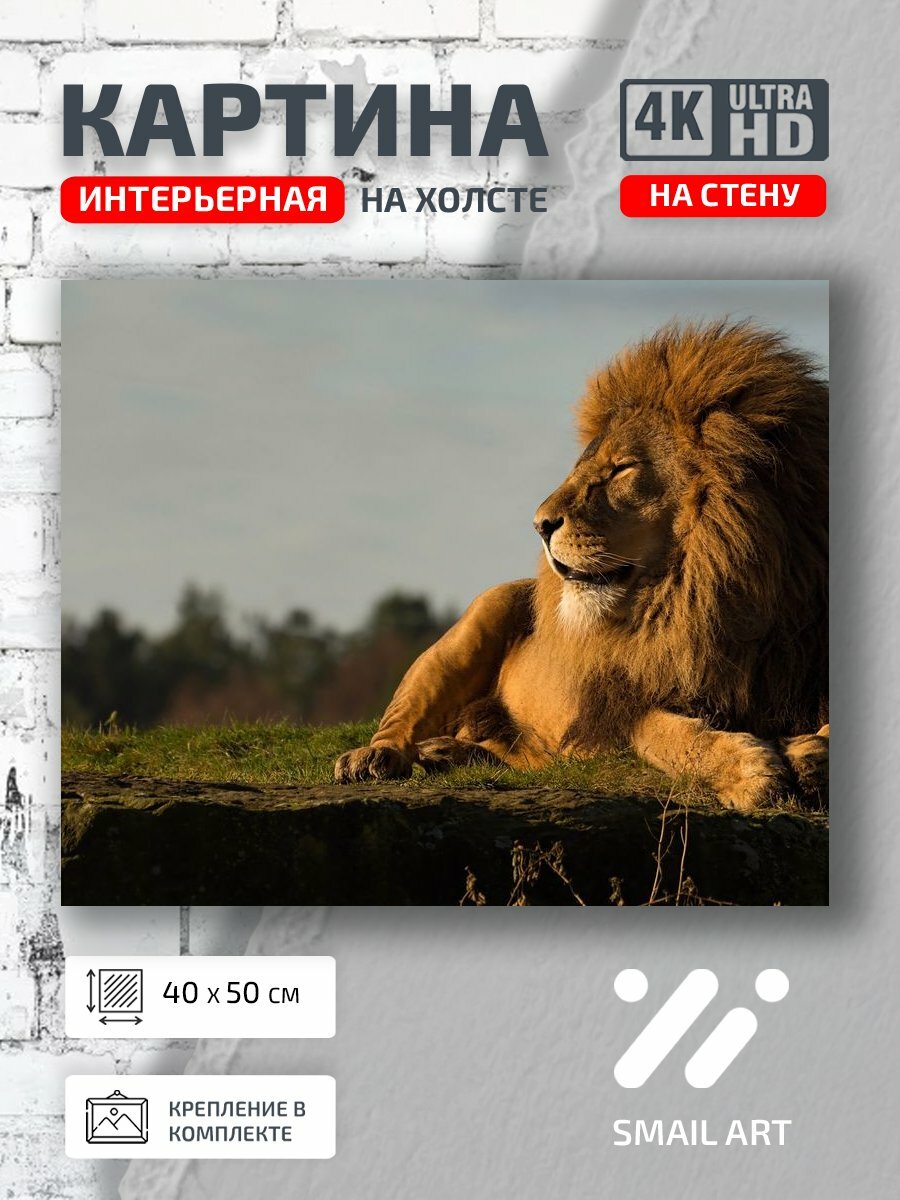 Картина на холсте интерьерная 40 на 50 на стену Утес Animal для спальни animal style декор