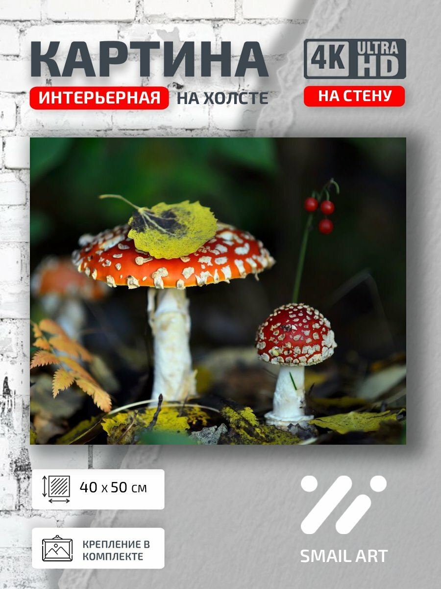 Картина на холсте интерьерная 40 на 50 на стену Лист Landscape для спальни пейзаж интерьер