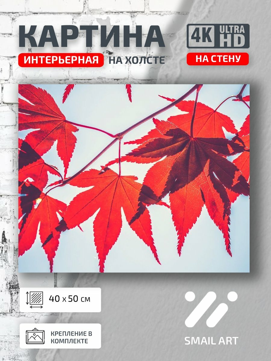 Картина на холсте интерьерная 40 на 50 на стену Красные Mood для студии атмосфера интерьер
