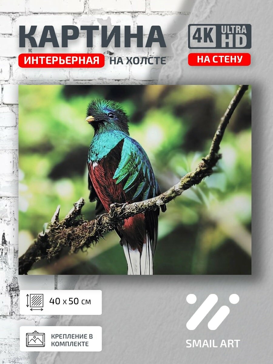 Картина на холсте интерьерная 40 на 50 на стену quantal quetzal для офиса атмосфера