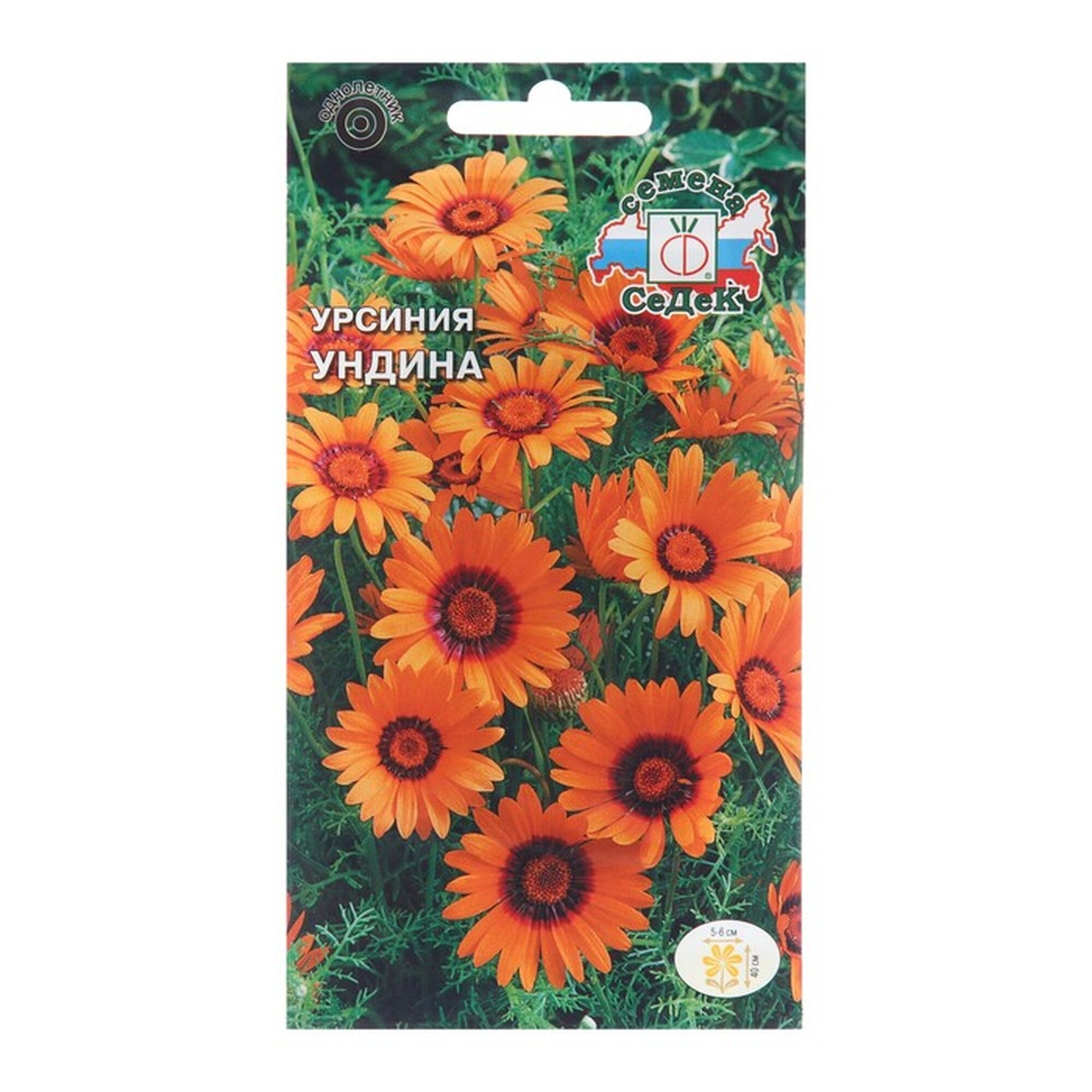 Семена цветов СеДеК Урсиния "Ундина", Евро, однолетнее, вес 0.1 грамм