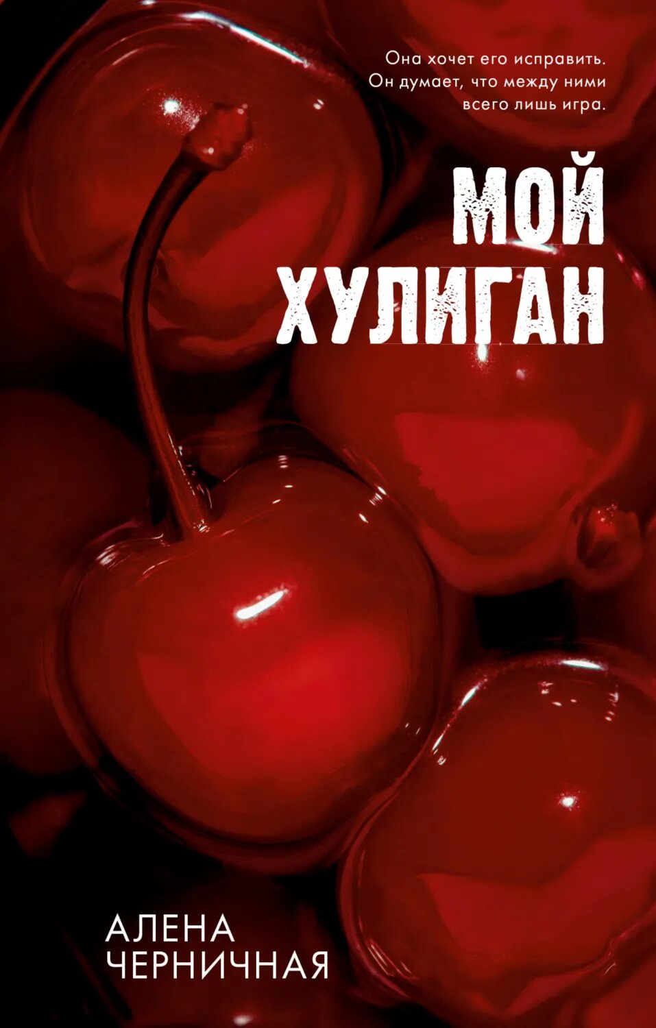 Мой хулиган [Цифровая книга]
