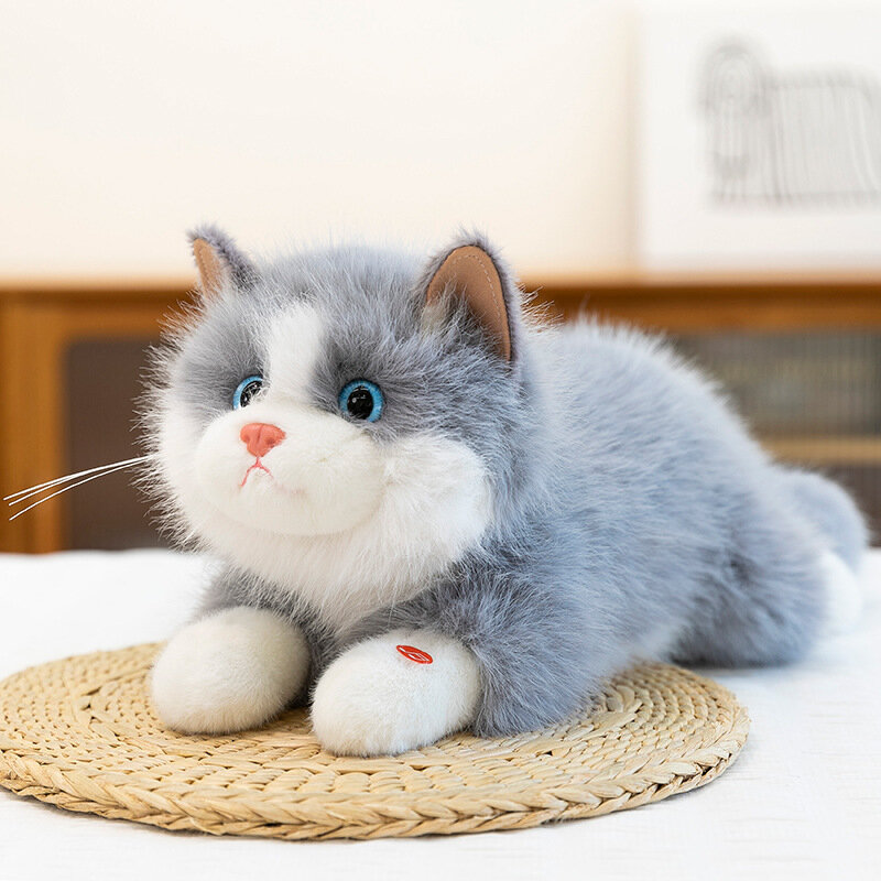 Реалистичная плюшевая игрушка кота Рэгдолл, милая маленькая кукла котенка, подарок для детей, подарок для девушки