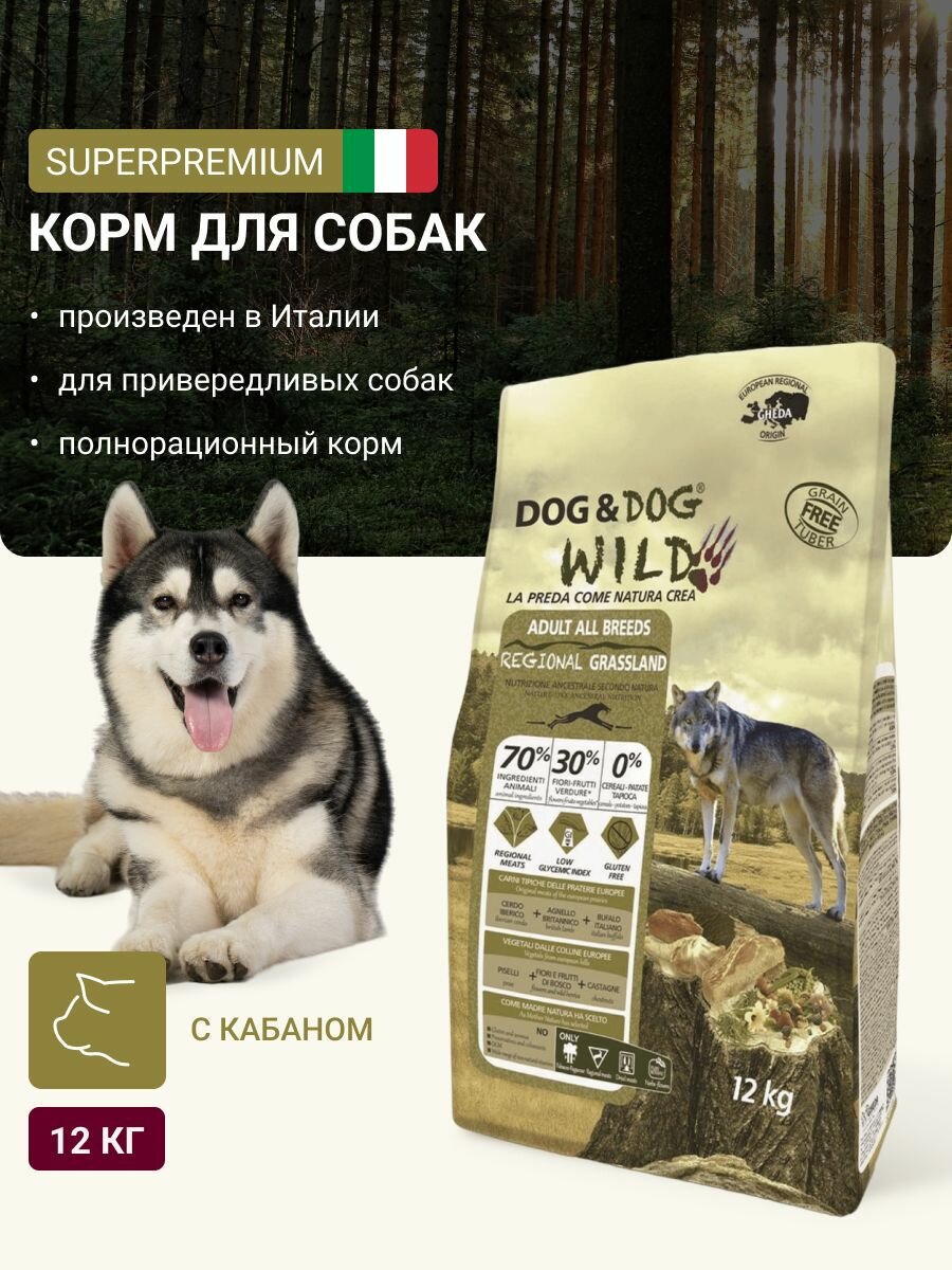 Корм для собак сухой Dog & Dog Wild Regional Grassland, кабан, ягненок 12кг (от года)