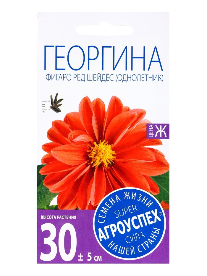 Семена цветов Георгина Фигаро Ред Шейдес Агроуспех 7шт (400)