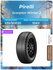 Шина Pirelli Scorpion Winter 2
