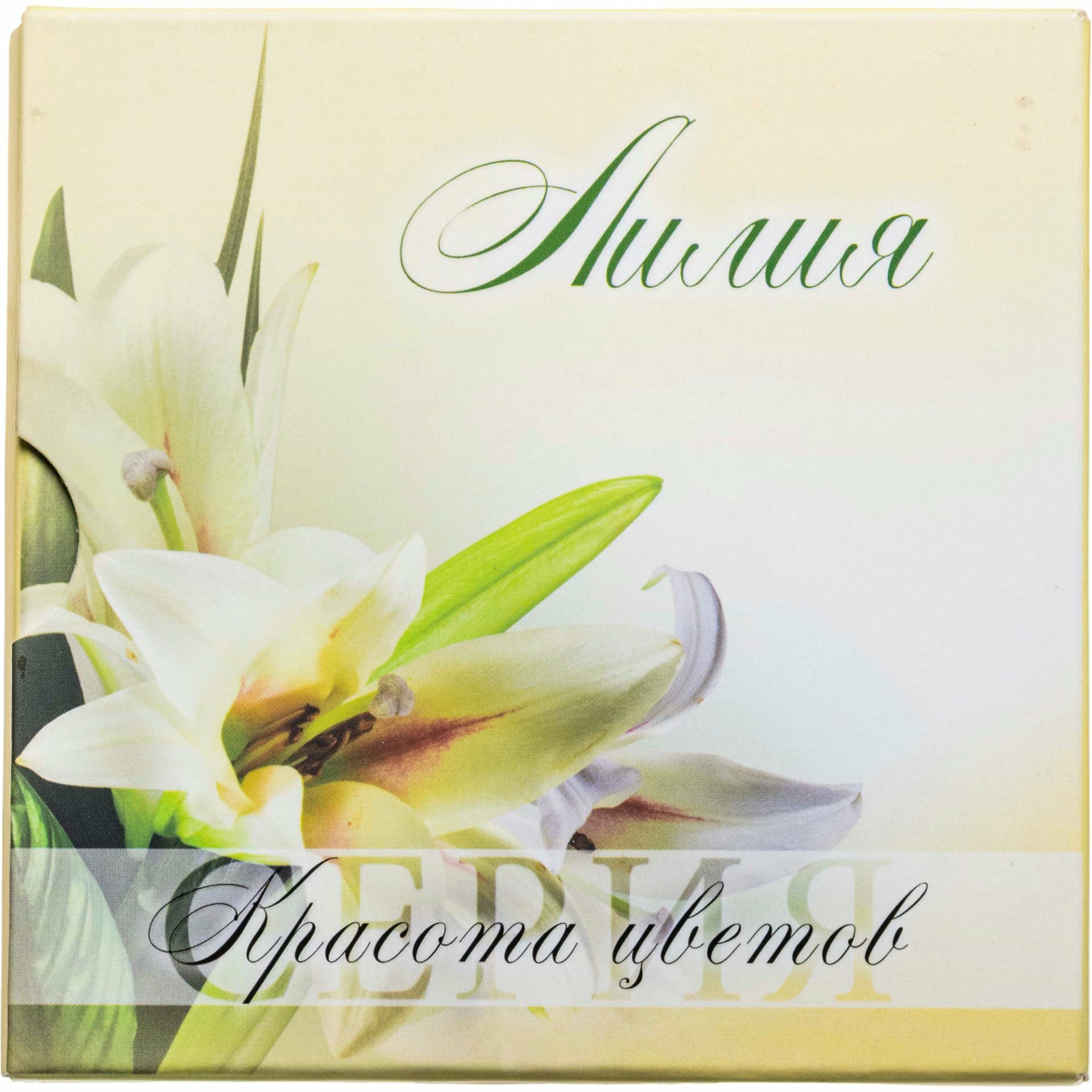 Беларусь 10 рублей 2013 Proof "Красота цветов - Лилия" в буклете с сертификатом, Серебро 925