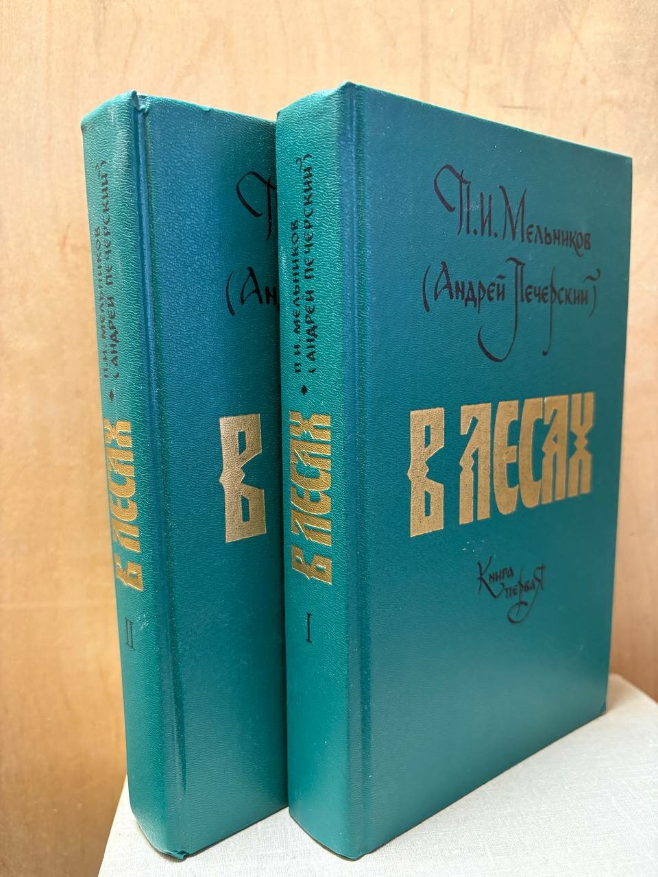 В лесах: Роман в 2-х книгах (комплект из 2-х книг)