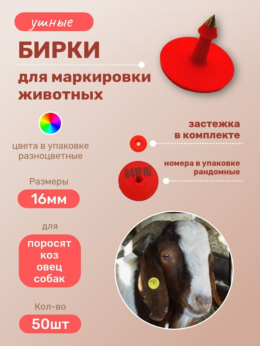 Бирка для маркировки животных