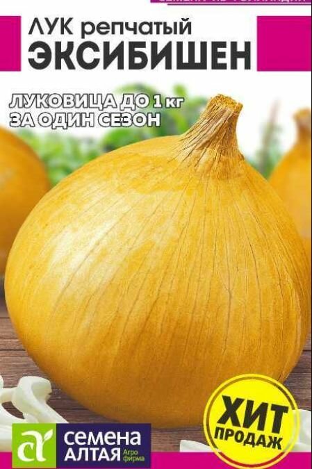 Семена лука Эксибишен на посадку, лук репчатый