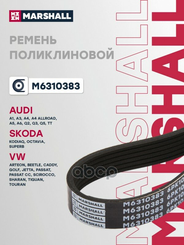Ремень поликлиновой MARSHALL арт. M6310383