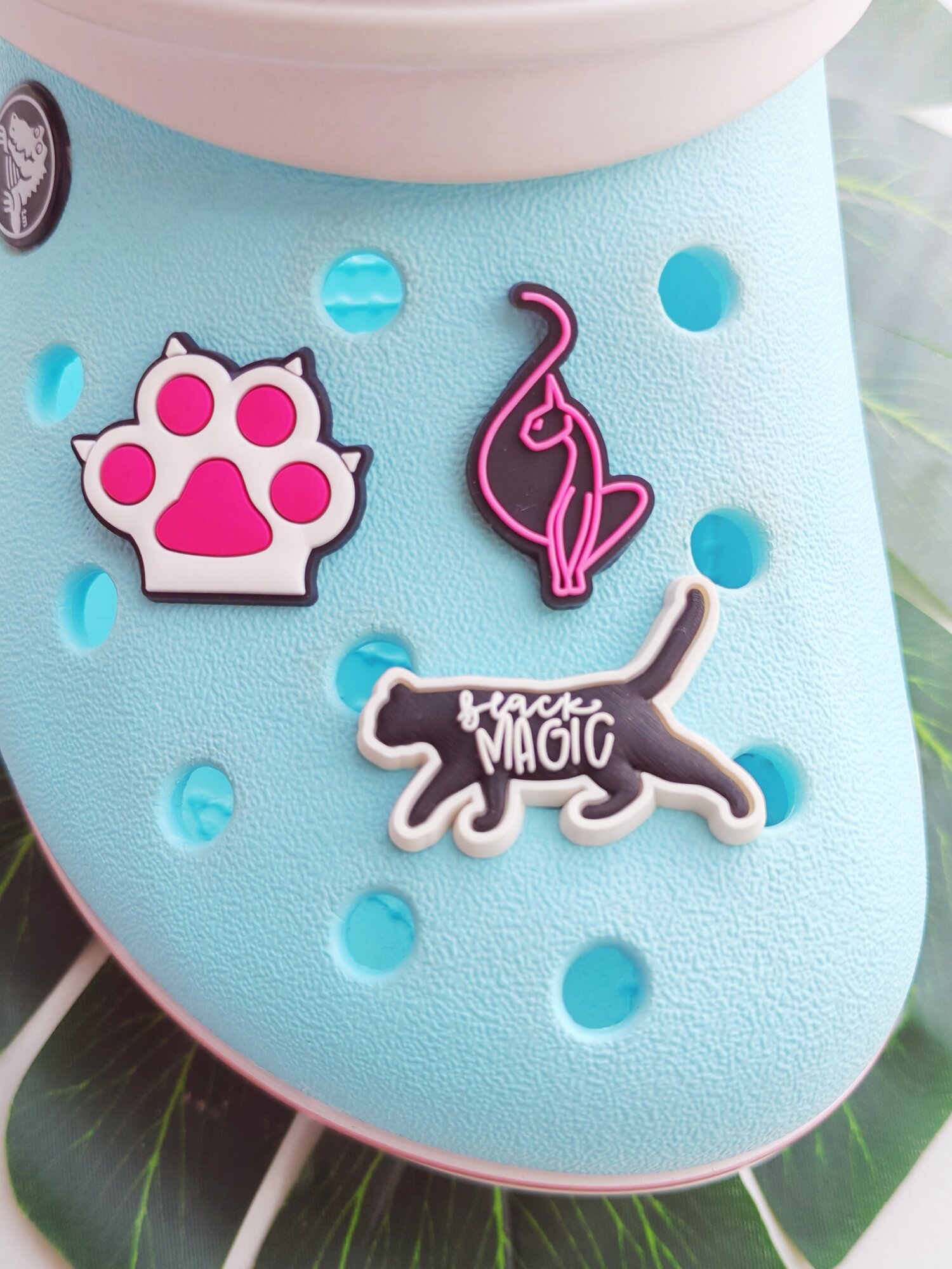 Джибитс черная кошка лапка