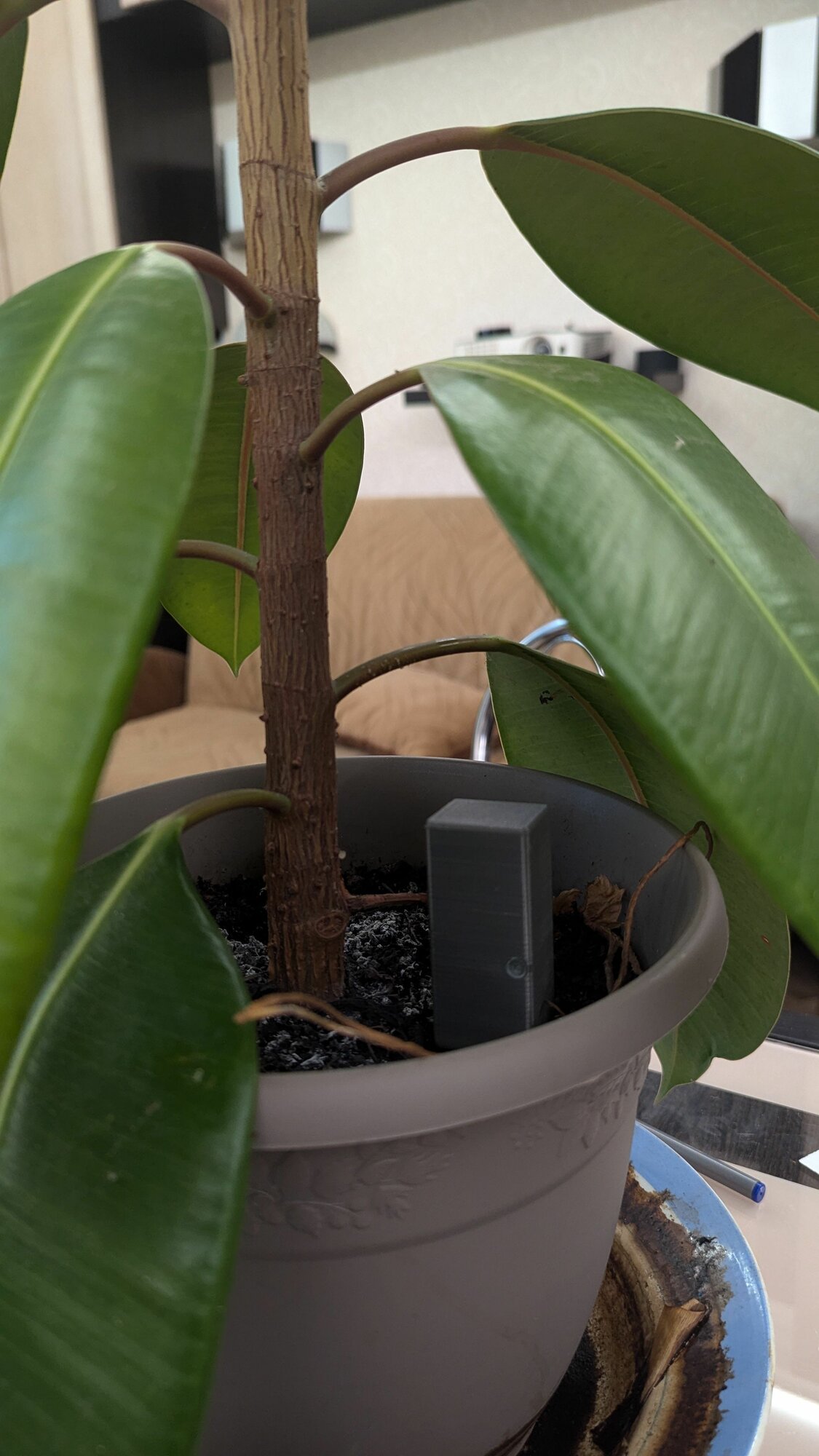 Zigbee датчик влажности почвы для Yandex "Компакт". Серый