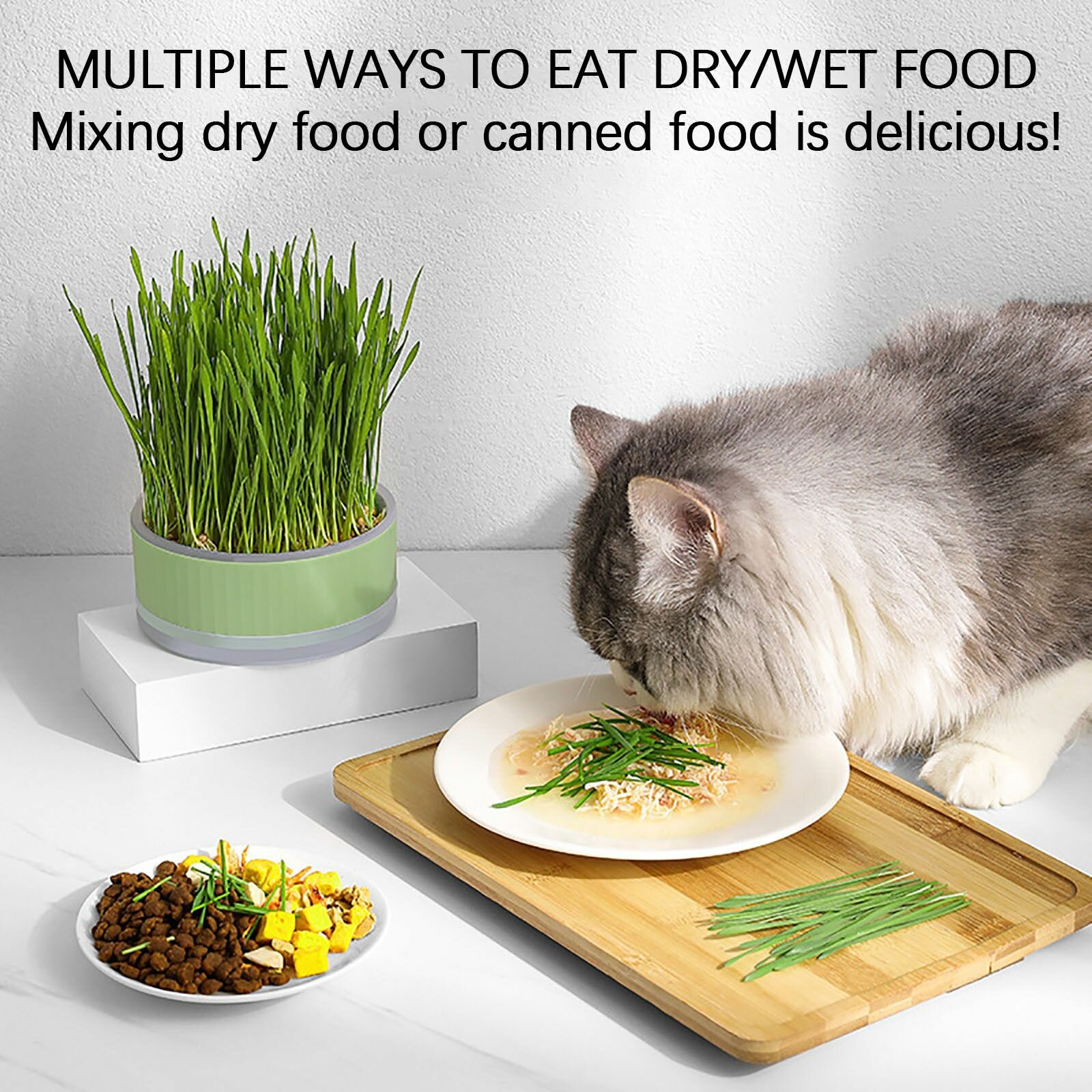 Кошка Трава Плантатора Коробки