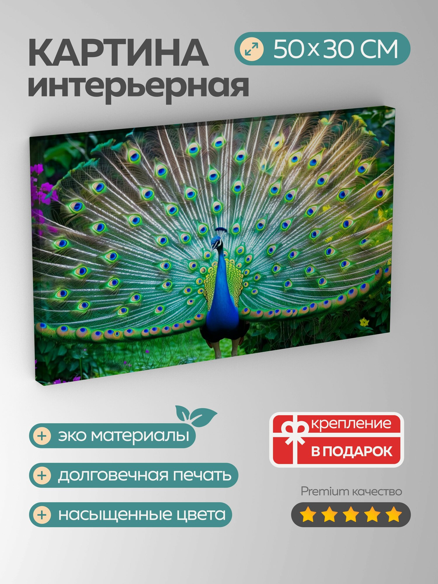 Картина на холсте интерьерная 50х30 см, павлин, фотография, величественный, природная красота, грация, яркие перья