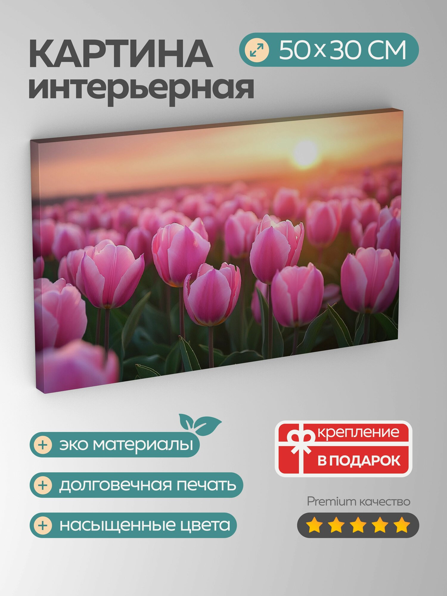 Картина на холсте интерьерная 50х30 см, тюльпаны, розовые, поле, солнце, свет, природа, красота, эйфория, лепестки, фон