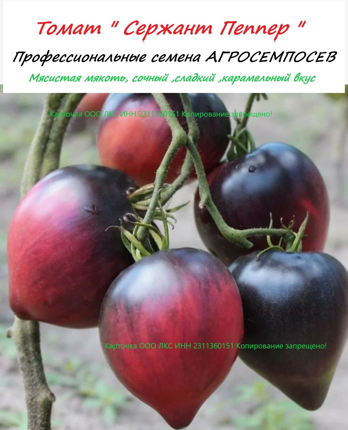 Томат " Сержант Пеппер " , семена