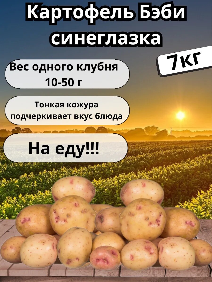 Картофель Бэби синеглазка 7кг