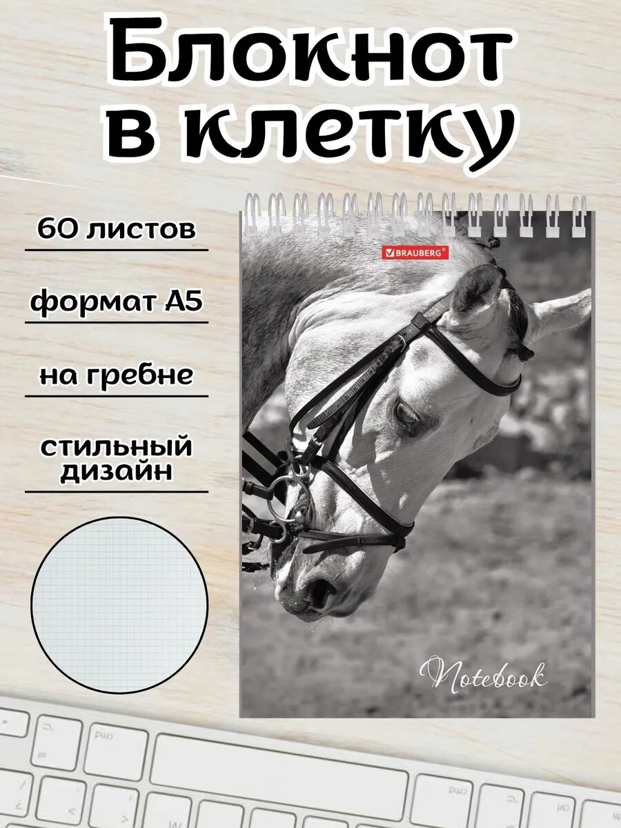 Блокнот в клетку а5 на спирали 60 листов