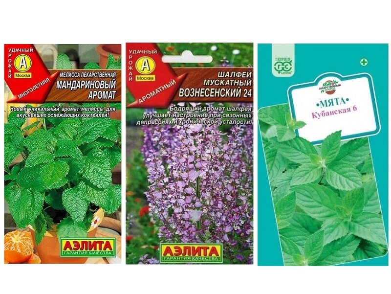 Семена многолетников Ароматный чай (Мелисса Мандариновый Аромат, Шалфей Мускатный Вознесенский 24, Мята Кубанская 6)