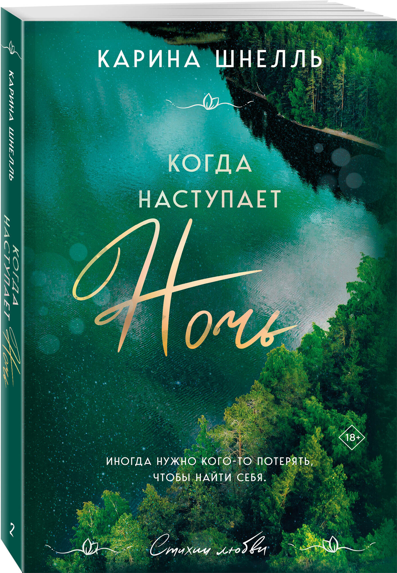 Шнелль К. Когда наступает ночь