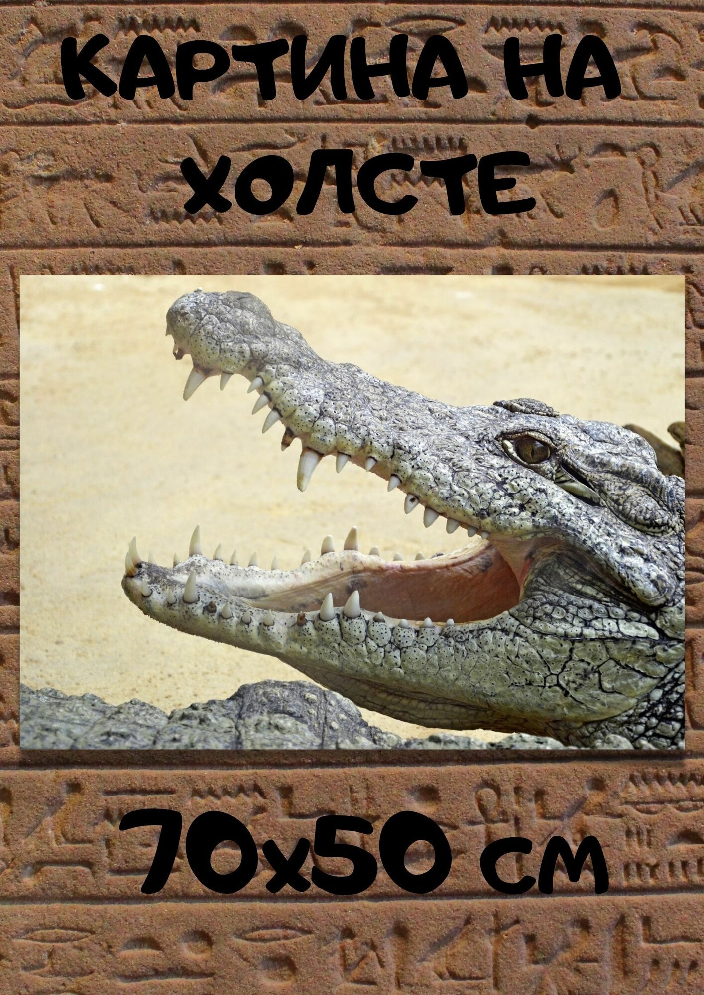 Картина с дикими животными "Зубастая пасть крокодила" 70х50 см