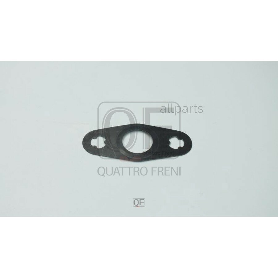 QUATTRO FRENI QF76A00118 Кольцо уплотнительное турбокомпрессора