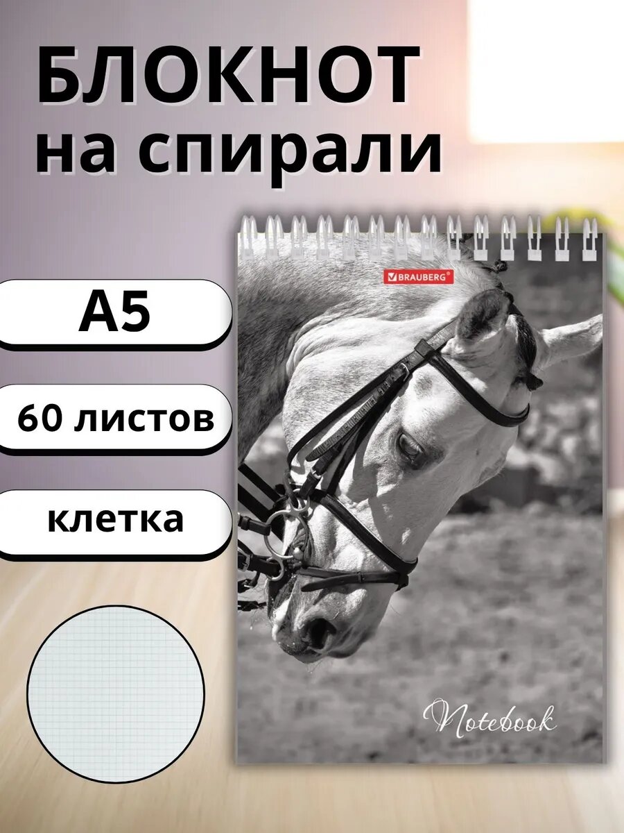 Блокнот Юнландия "Лошадь", на спирали, формат А5, клетка, 60 листов