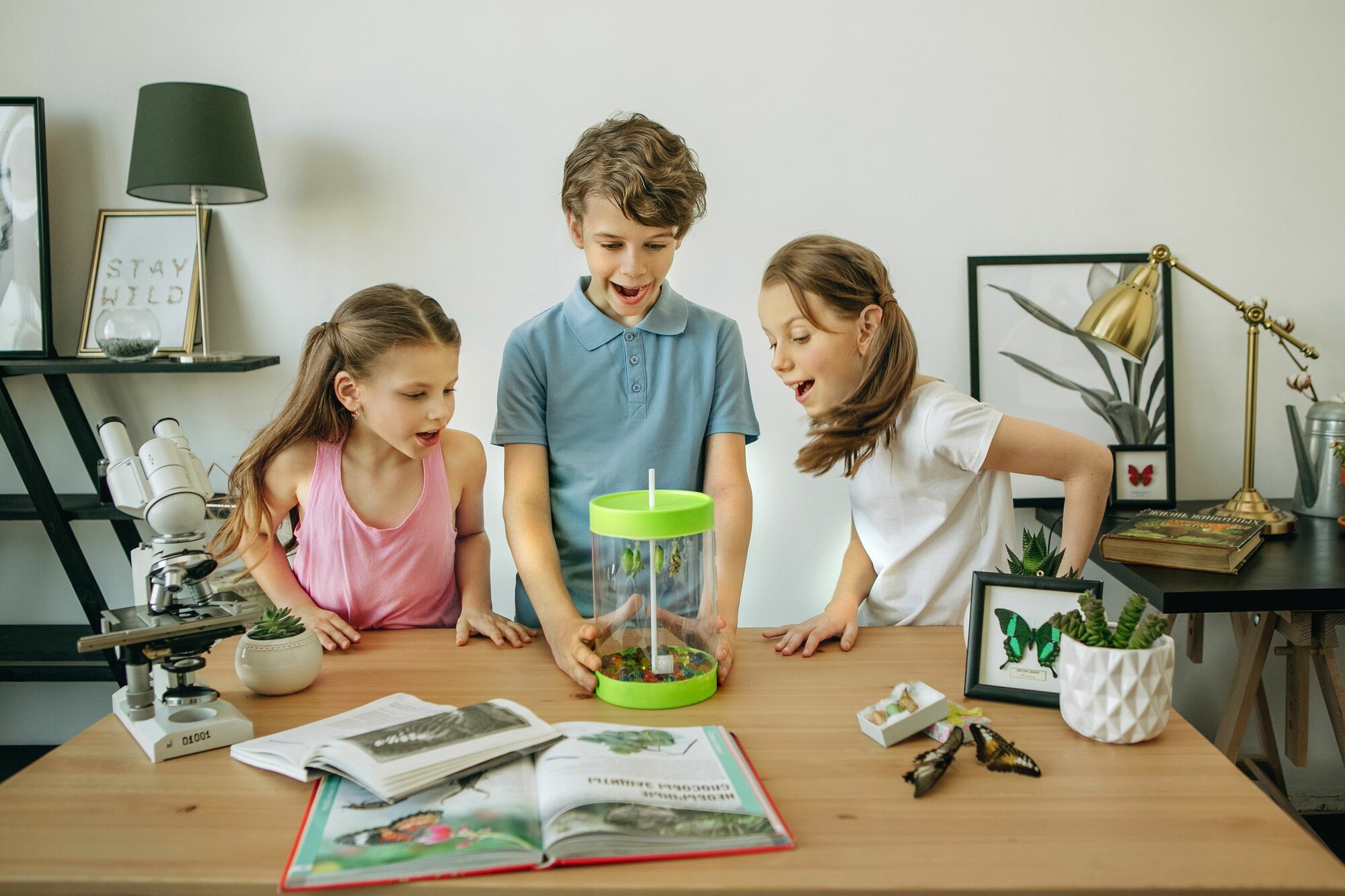 Ферма бабочек