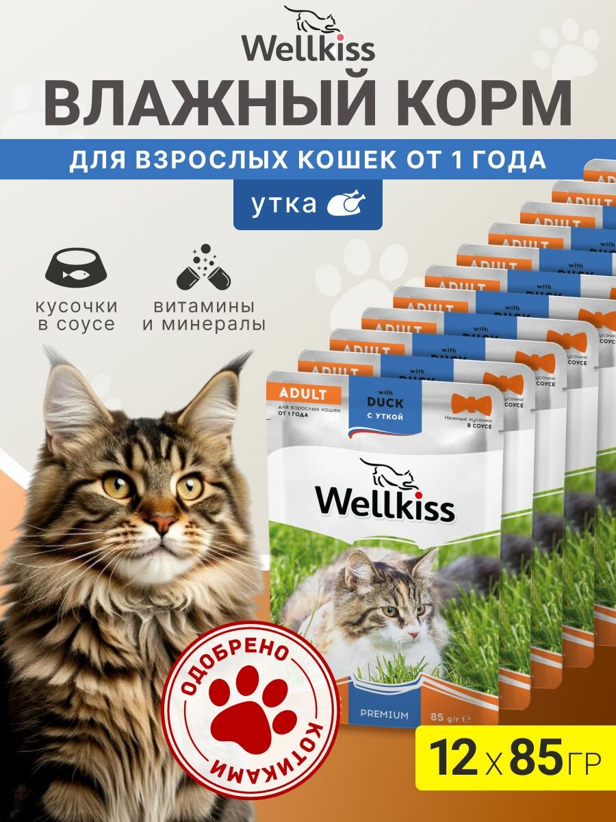 Wellkiss Adult Влажный корм (пауч) для взрослых кошек, с уткой в соусе, 85 гр. * 12 шт.