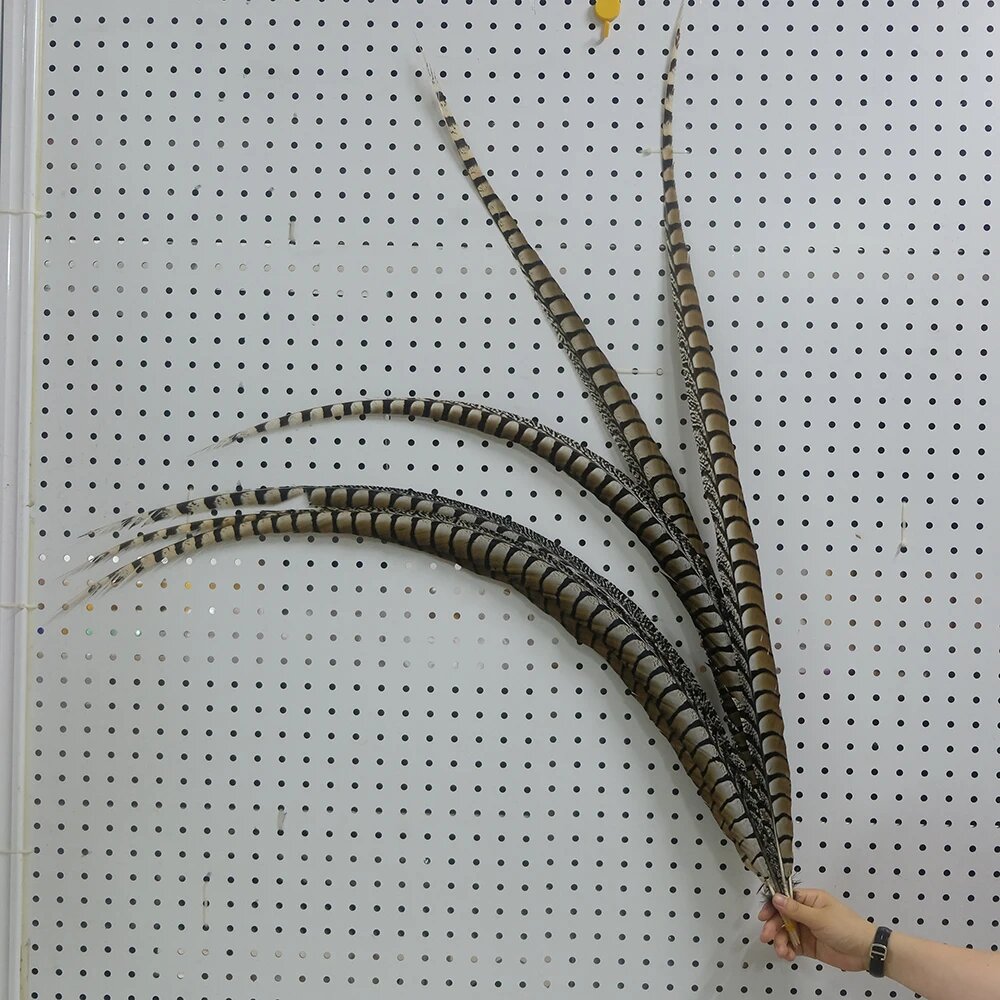 10 шт, перо фазана, натуральное длинное, размер 90-120 см, перо фазана с боковым хвостом для карнавала/самбы/бульсека, украшение костюма