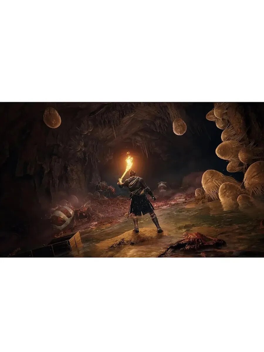 Игра Elden Ring (PlayStation 5) Рус суб — фото 1