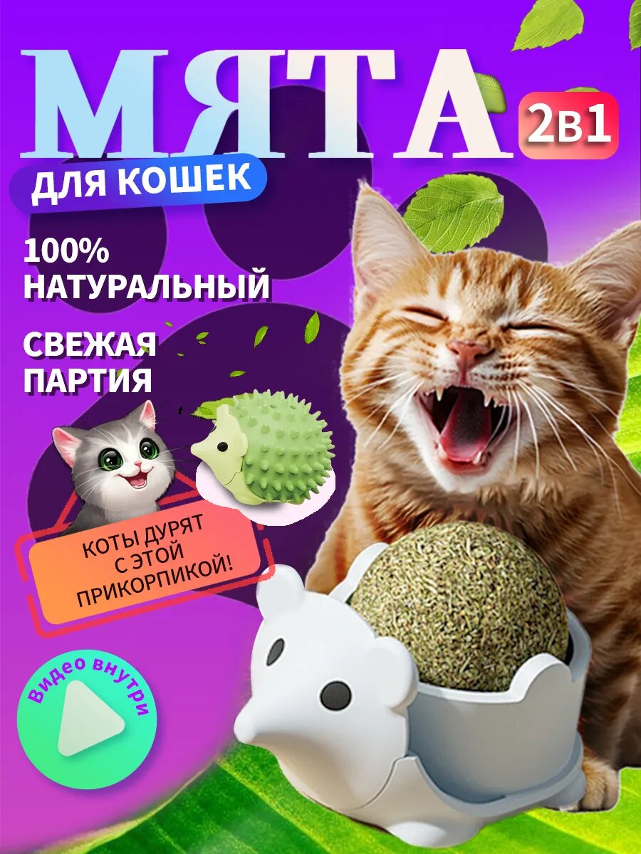 Игрушка для кошек "Ежик", закуски, с кошачьей травой, шариком, для чистки зубов