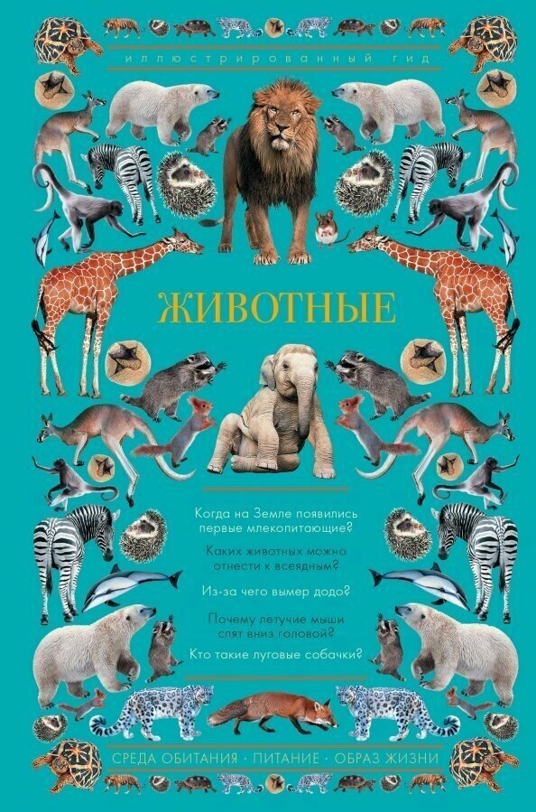 Чудова Анастасия Витальевна "Животные. Иллюстрированный гид"