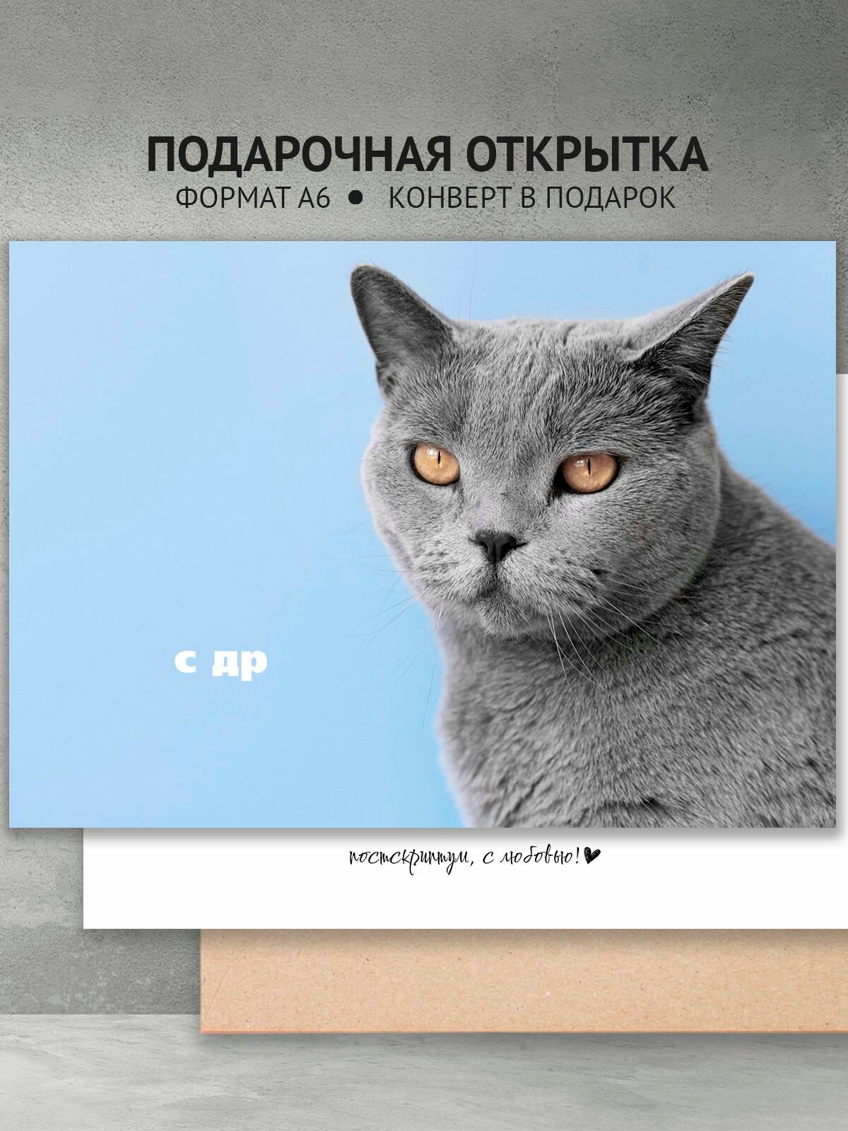 Подарочная открытка с уникальной иллюстрацией котик "С др" с днем рождения, с юбилеем