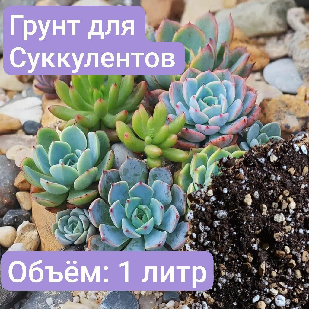 Грунт для суккулентов, авторский, универсальный, мелкий, 1 л
