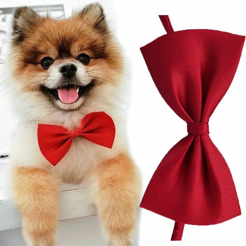 Галстук-бабочка для кота, собаки, красная
