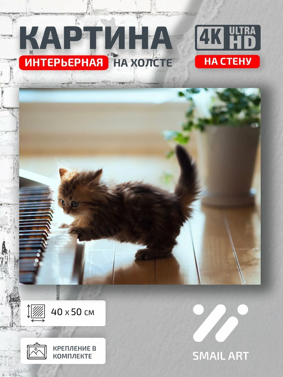 Картина на холсте интерьерная 40 на 50 на стену Синтезатором Animal для гостиной интерьер