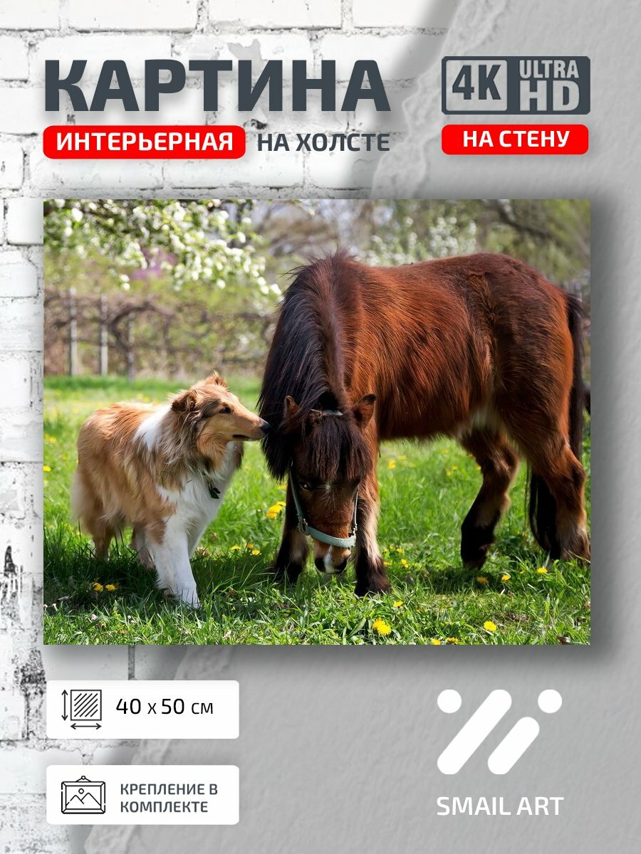 Картина на холсте интерьерная 40 на 50 на стену Пони Mood для офиса атмосфера интерьер